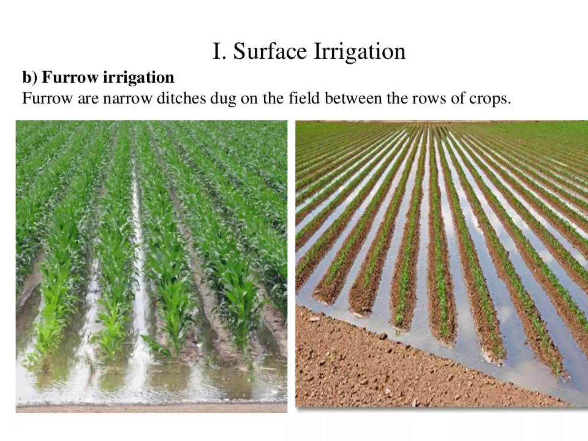 5.Canal irrigation system of pakistan A Lecture By Mr. Allah Dad Khan ...
