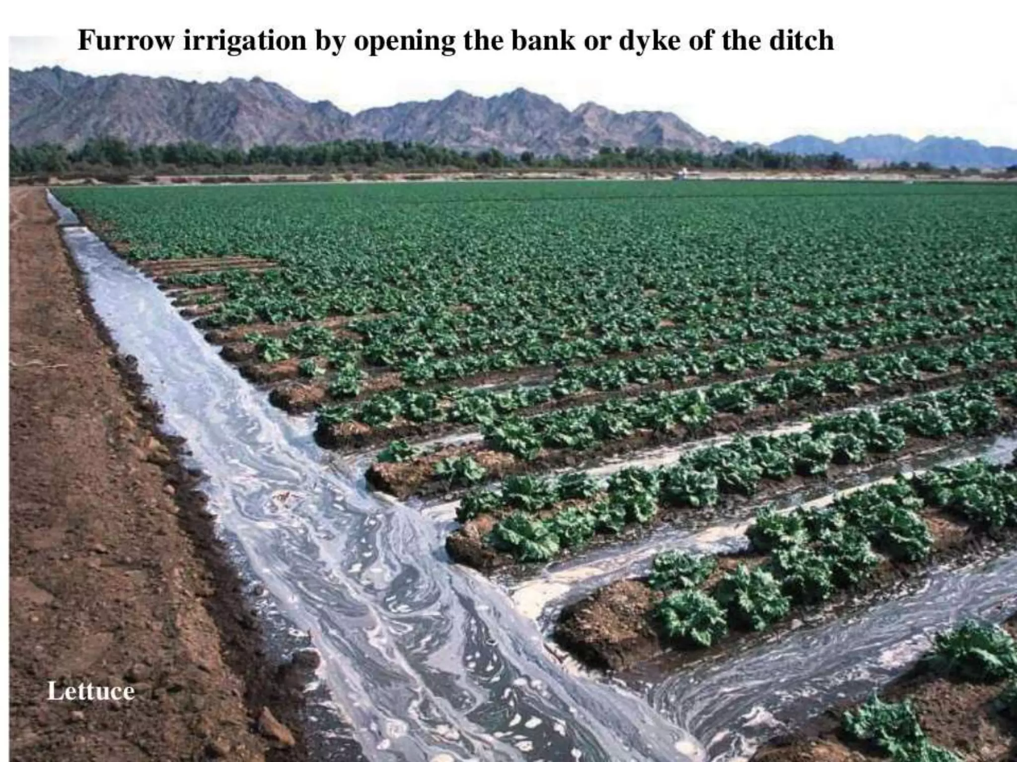 5.Canal irrigation system of pakistan A Lecture By Mr. Allah Dad Khan ...