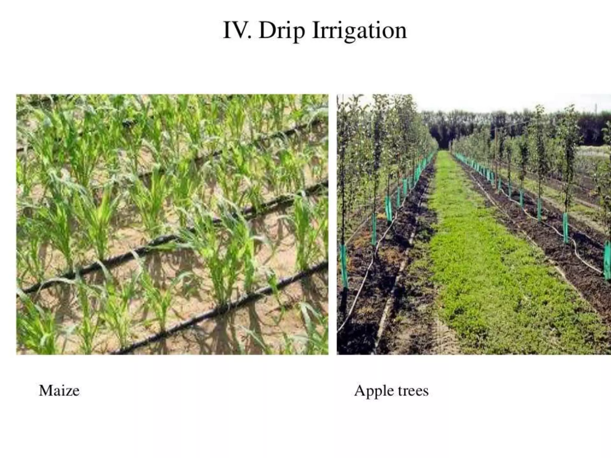 5.Canal irrigation system of pakistan A Lecture By Mr. Allah Dad Khan ...