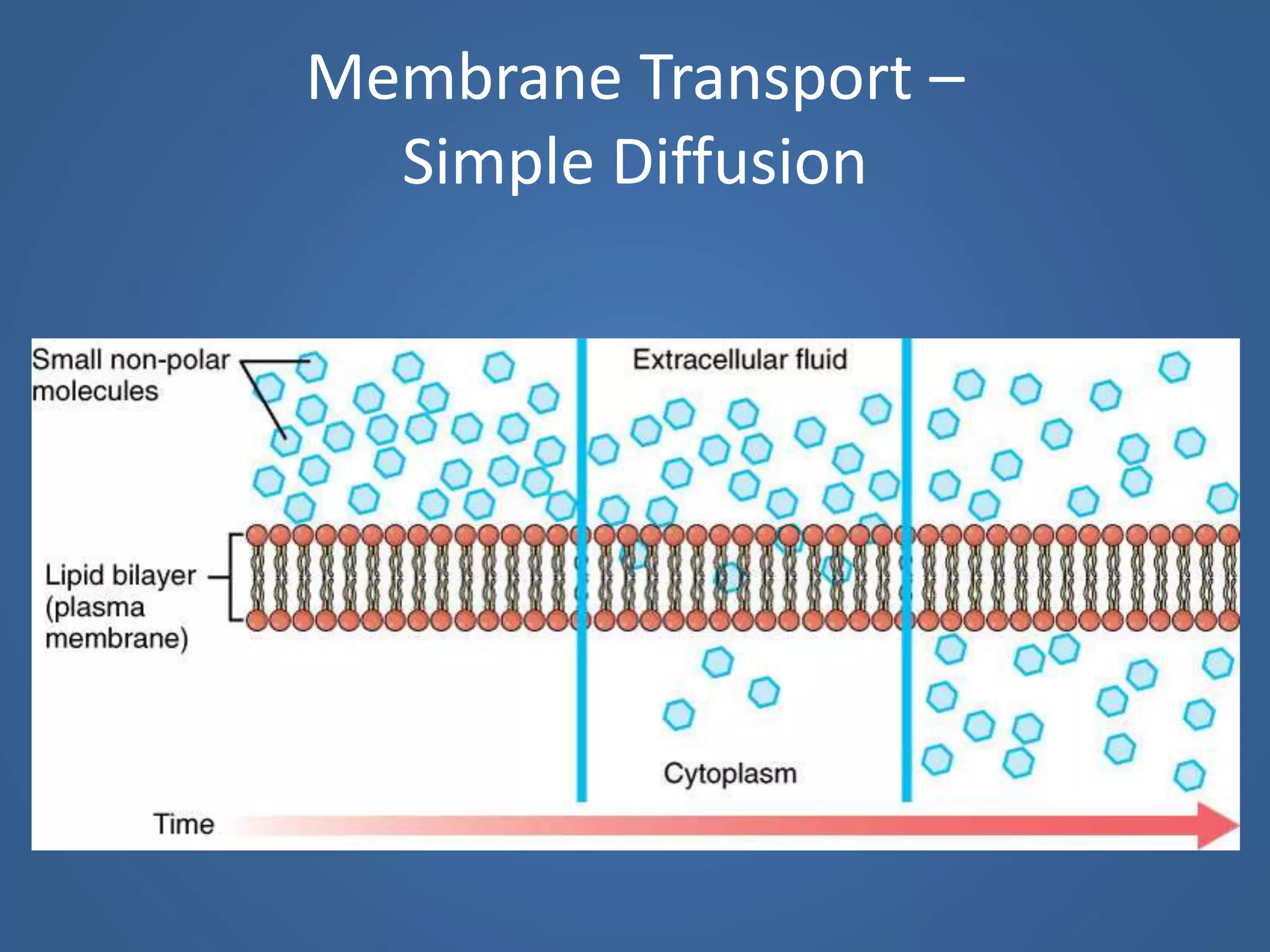 5. Cell Membrane and Membrane Transport | PPTX