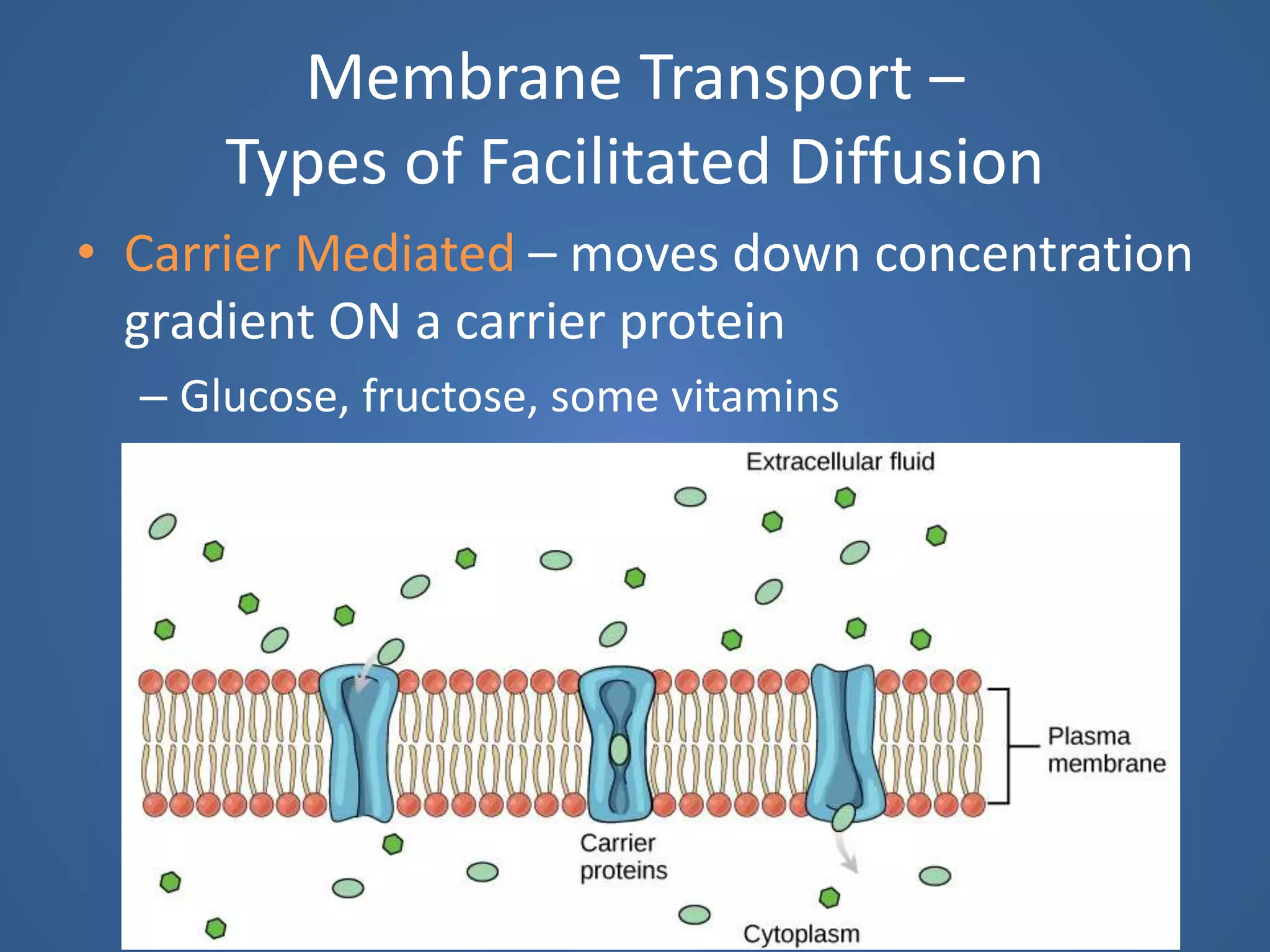 5. Cell Membrane and Membrane Transport | PPTX