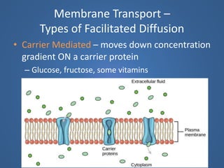 5. Cell Membrane and Membrane Transport | PPTX