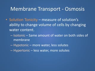 5. Cell Membrane and Membrane Transport | PPTX