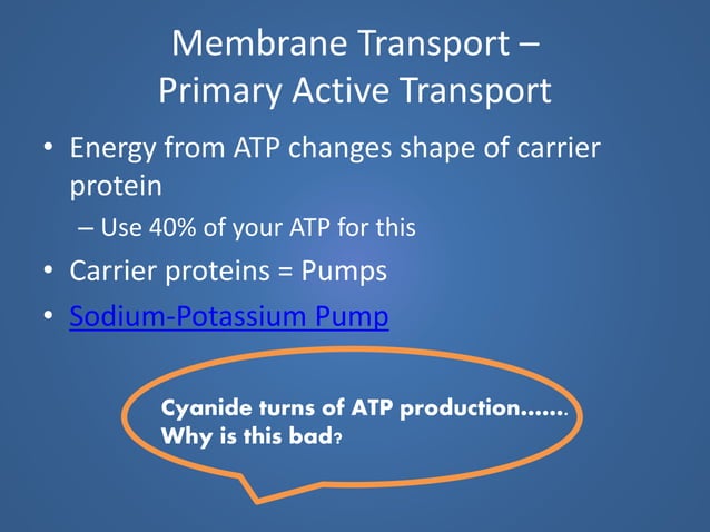 5. Cell Membrane and Membrane Transport | PPTX