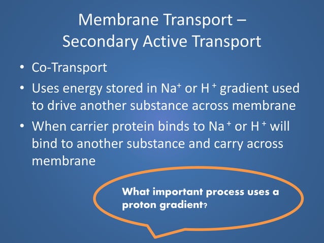 5. Cell Membrane and Membrane Transport | PPTX