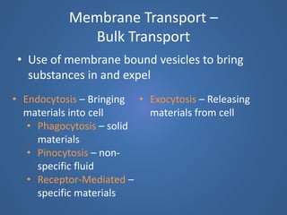 5. Cell Membrane and Membrane Transport | PPTX