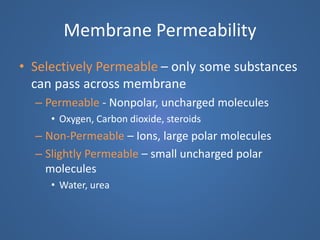 5. Cell Membrane and Membrane Transport | PPTX