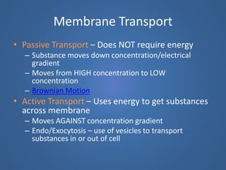 Cell Membrane Transport