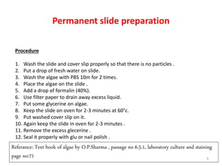 morphology of micro algae ad permanent slide preparation of micro algae ...