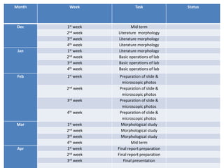 morphology of micro algae ad permanent slide preparation of micro algae ...
