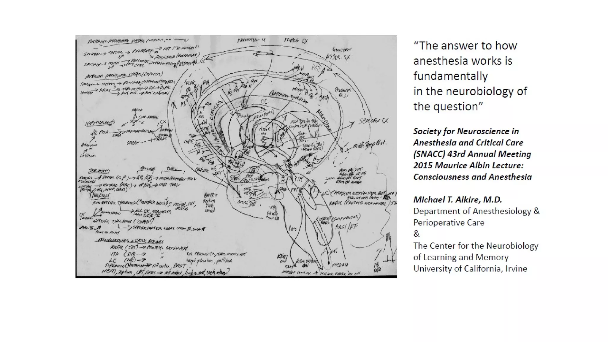 5. thomas lew how anaesthetic works (and why knowing matters) | PPT