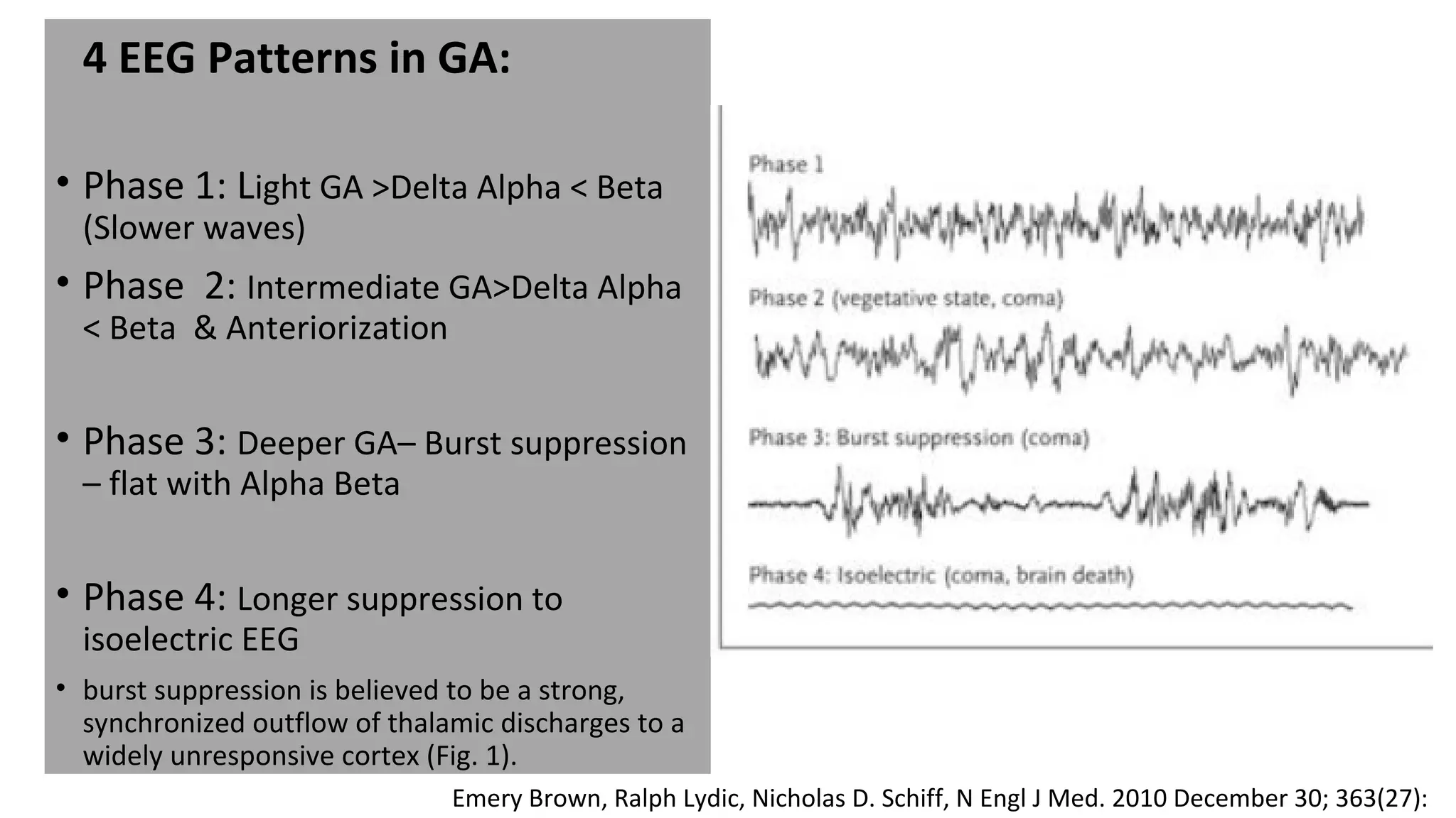 5. thomas lew how anaesthetic works (and why knowing matters) | PPT