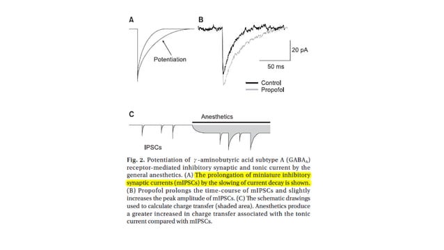 5. thomas lew how anaesthetic works (and why knowing matters) | PPT
