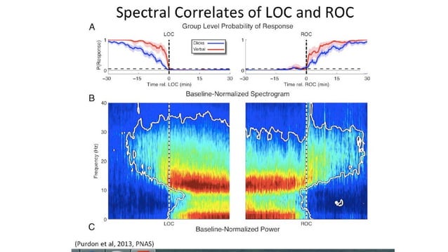 5. thomas lew how anaesthetic works (and why knowing matters) | PPT