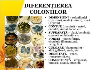 Microbiologia | PPTX