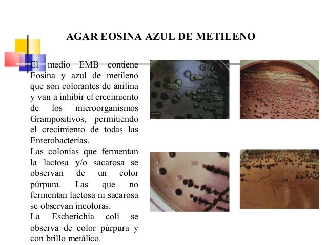 Microbiología!!👩‍🔬🔬: EMB