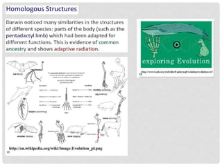 5.1 evidence for evolution | PPTX