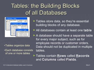 5.01 database-fundamentals | PPT