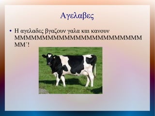 Τα όμορφα ζώα | ODP