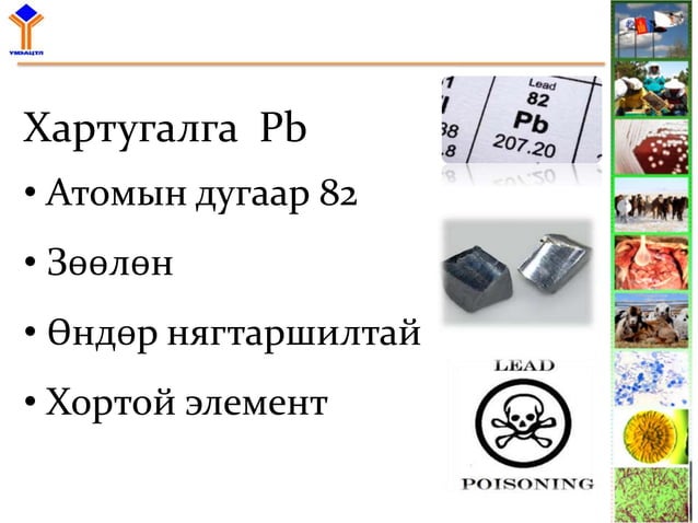 ИМПОРТЫН МАХАНД ХАРТУГАЛГА ТОДОРХОЙЛСОН ДҮНГЭЭС Ppt