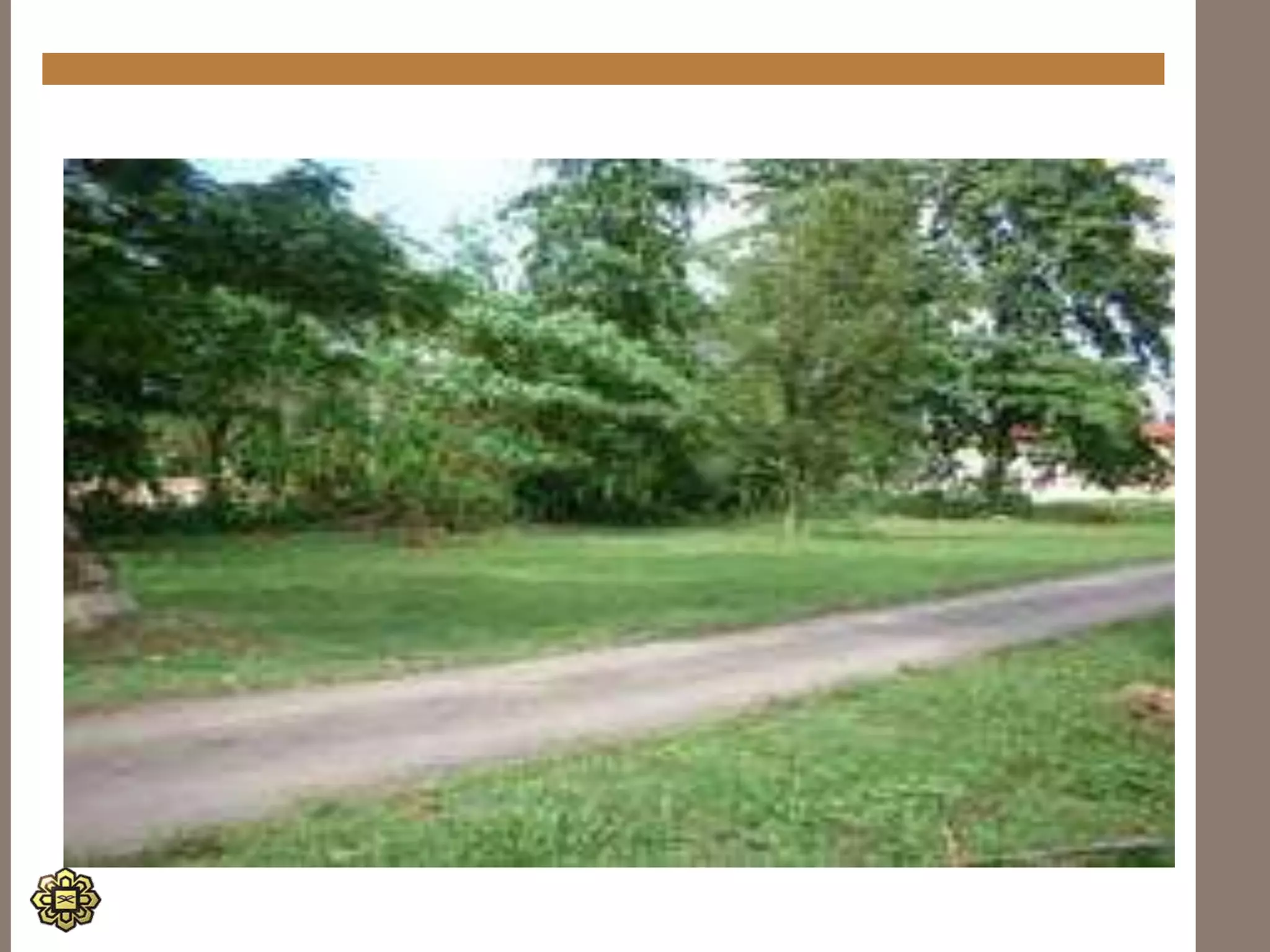 The approaches of Usul Fiqh | PPTX