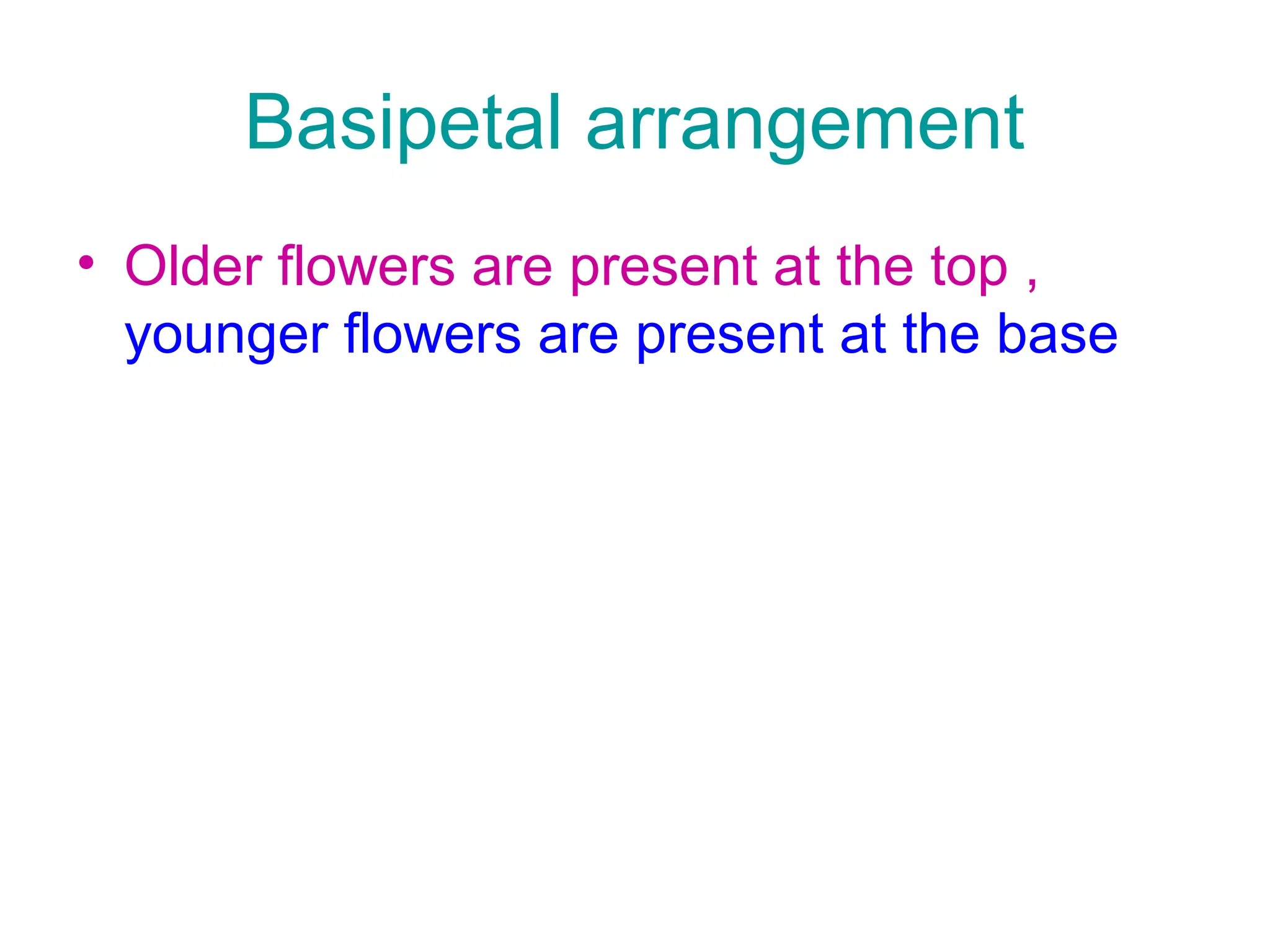 5. morphology of flowering parts (inflorescence) | PPT