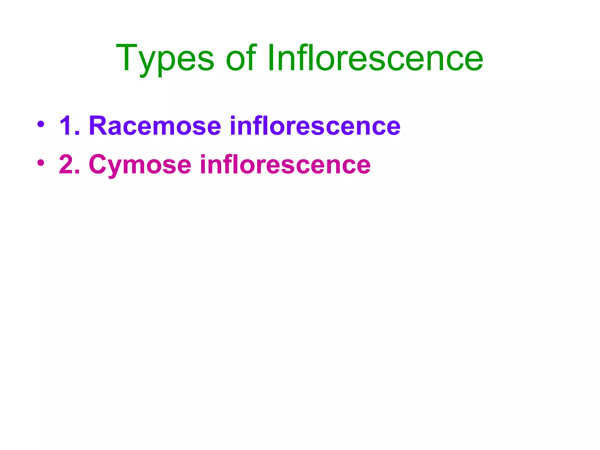 5. morphology of flowering parts (inflorescence) | PPT