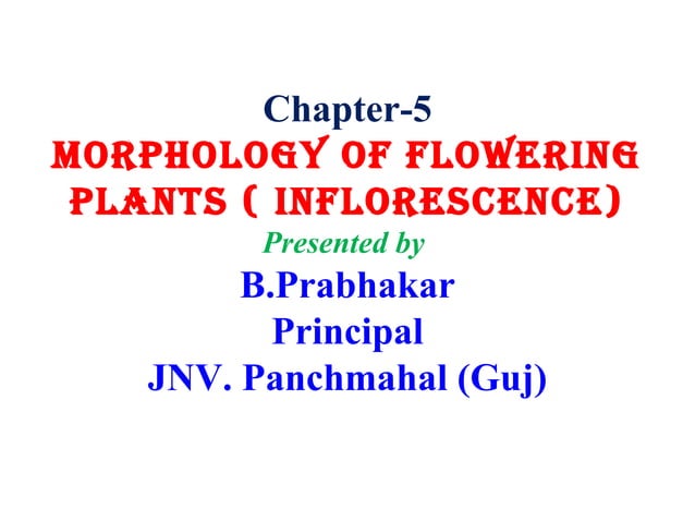 5. morphology of flowering parts (inflorescence) | PPT | Gardening ...