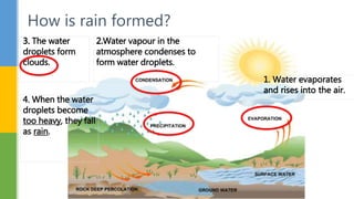 Sec 2 Geography Causes of Floods | PPTX