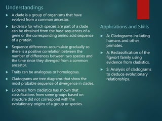 5.4 cladistics student copy | PPTX | Biological Sciences | Science