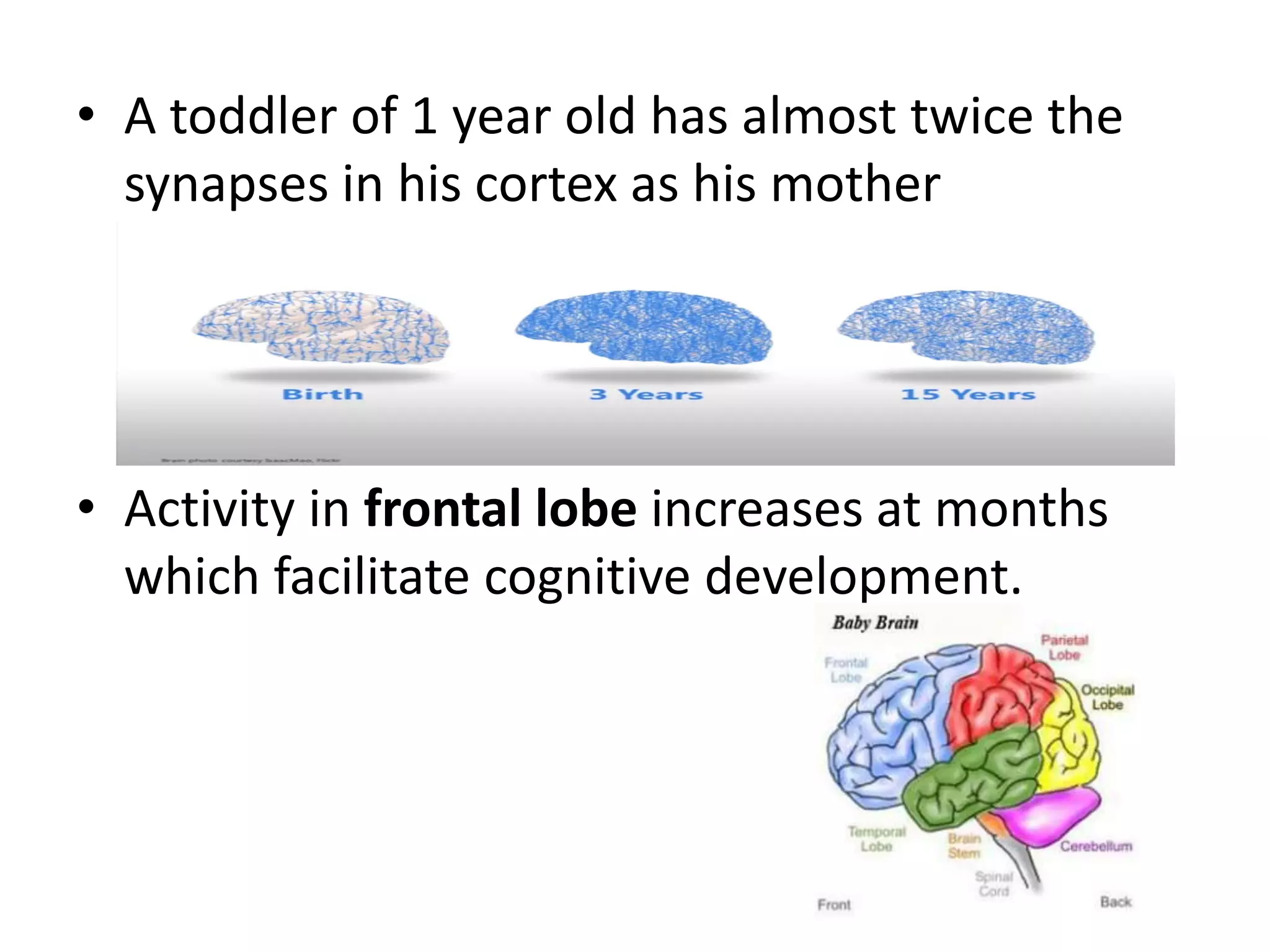 stages of cognitive development | PPT