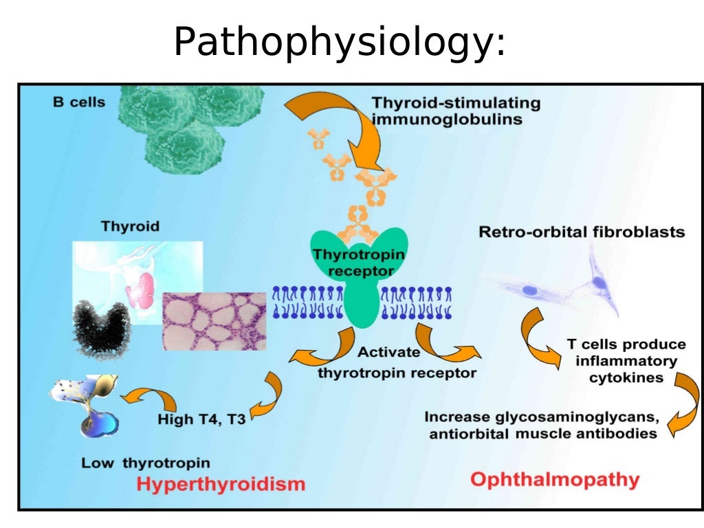 5. pathophysiology of the diseases