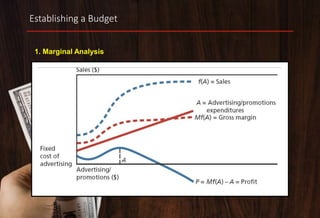 Advertising Budgeting: Appropriation & Allocation | PPTX
