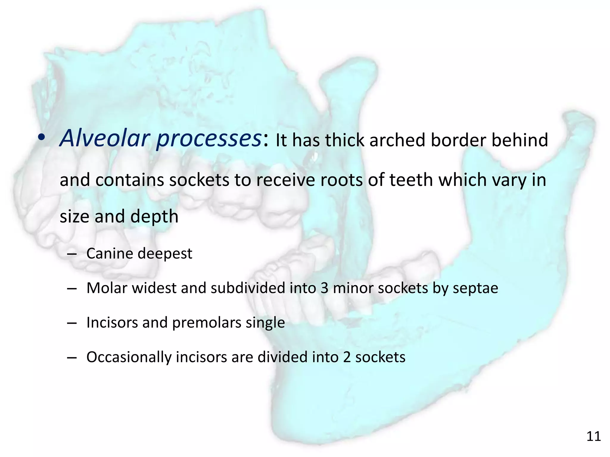 5.osteology of maxilla and mandible, facial nerve | PPTX