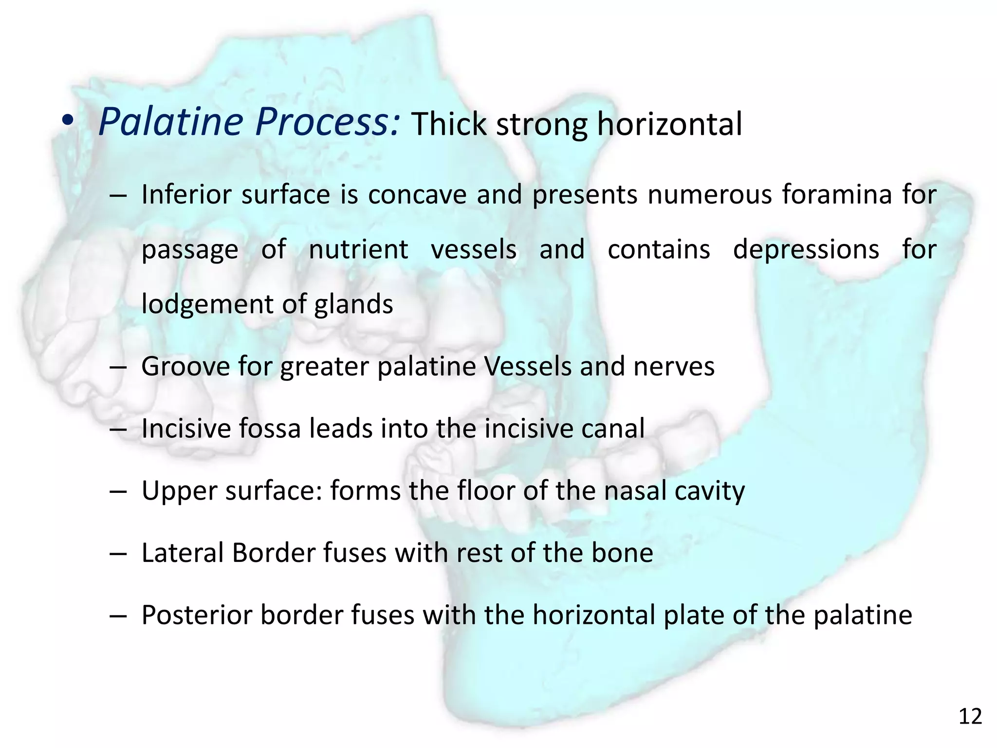 5.osteology of maxilla and mandible, facial nerve | PPTX
