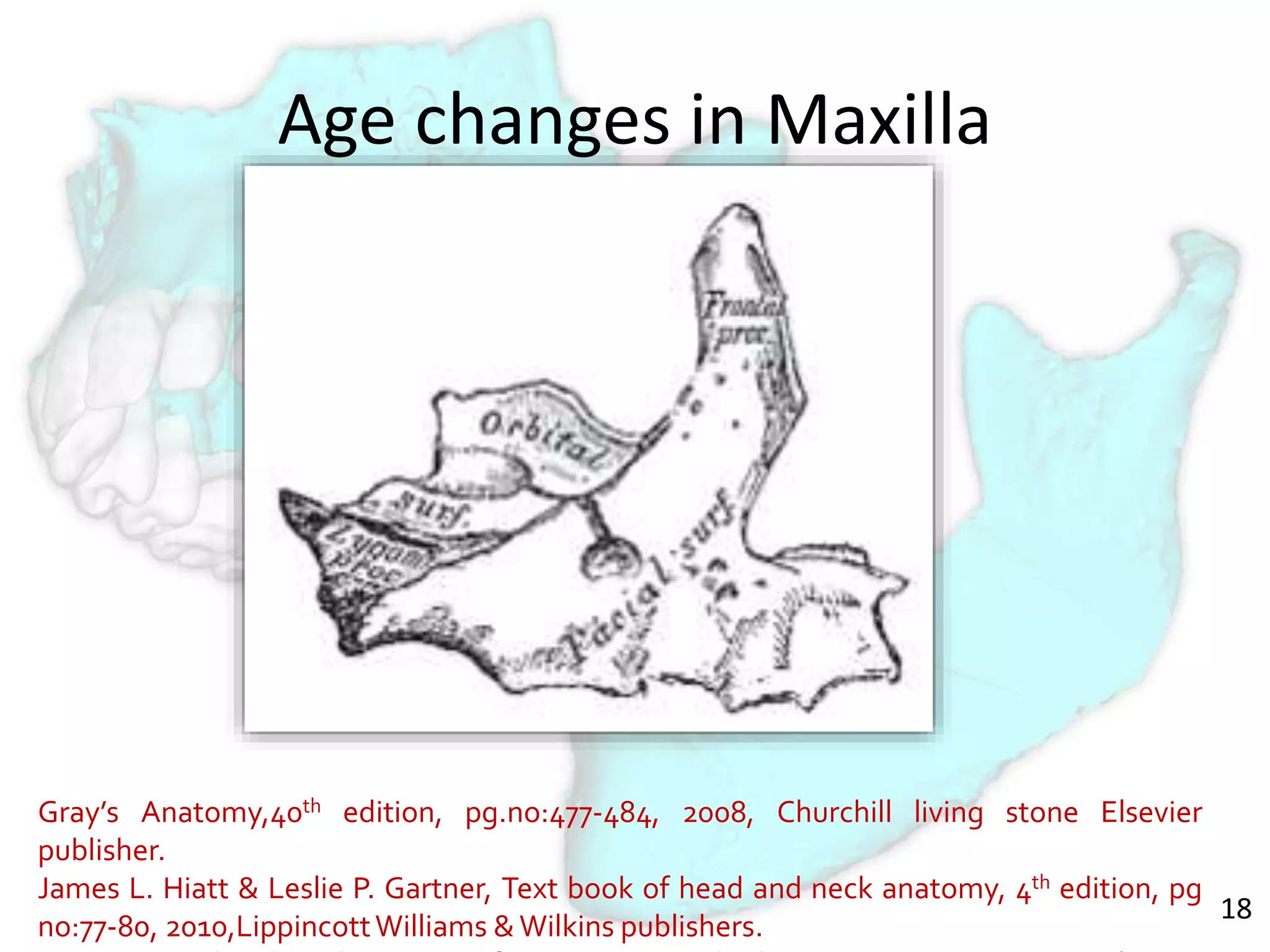 5.osteology of maxilla and mandible, facial nerve | PPTX | Ear, Nose and Throat Conditions ...