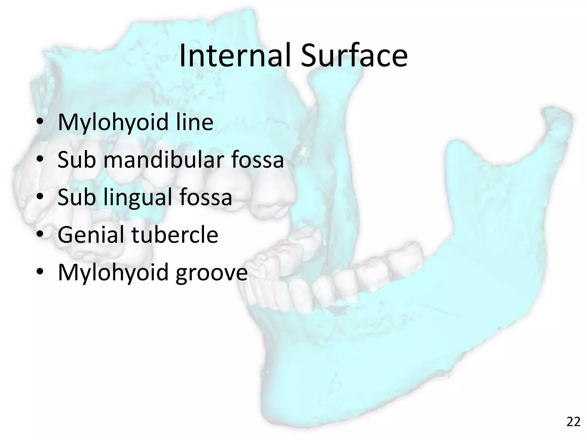 5.osteology of maxilla and mandible, facial nerve | PPTX | Ear, Nose and Throat Conditions ...
