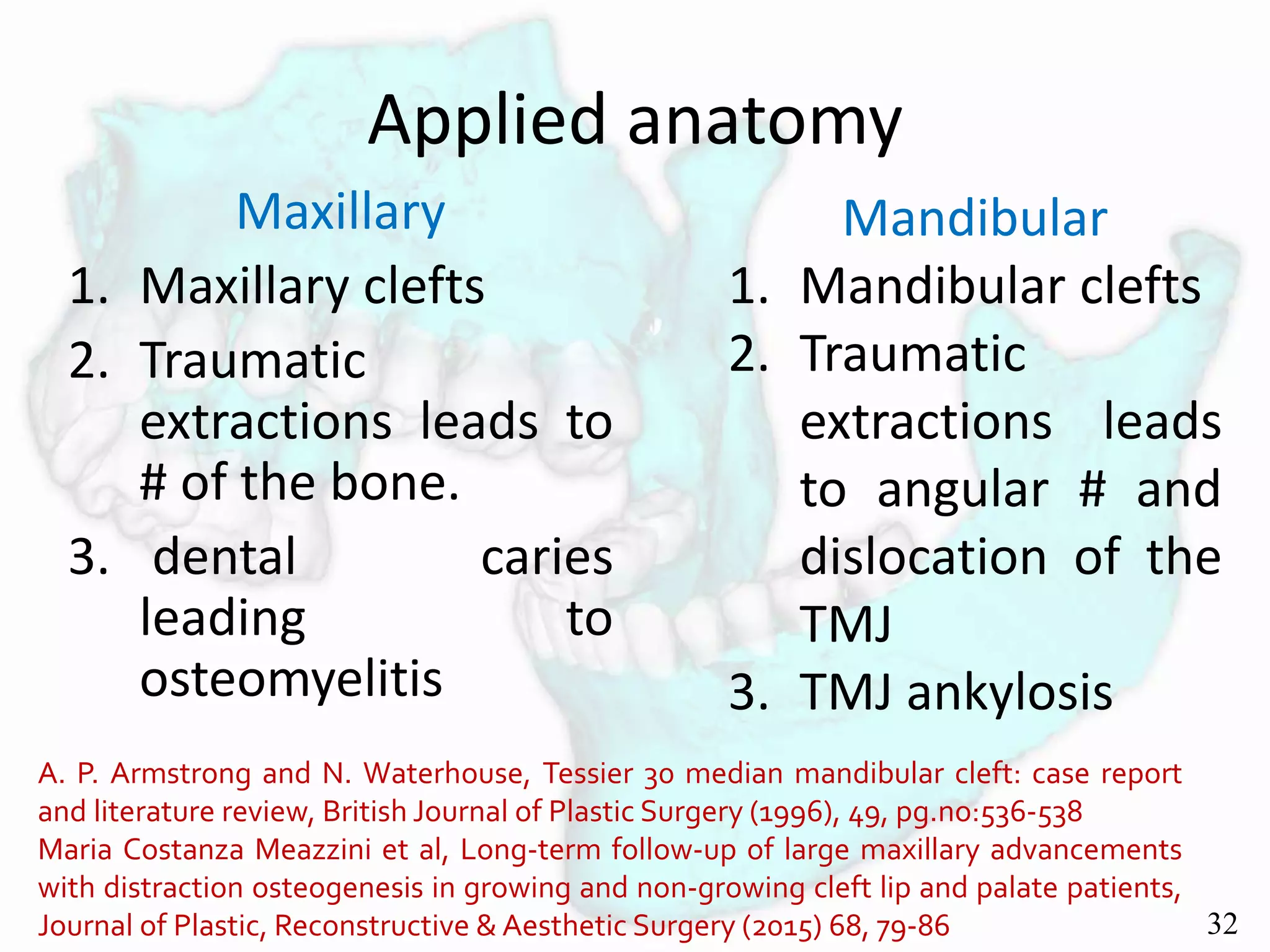 5.osteology of maxilla and mandible, facial nerve | PPTX | Ear, Nose and Throat Conditions ...