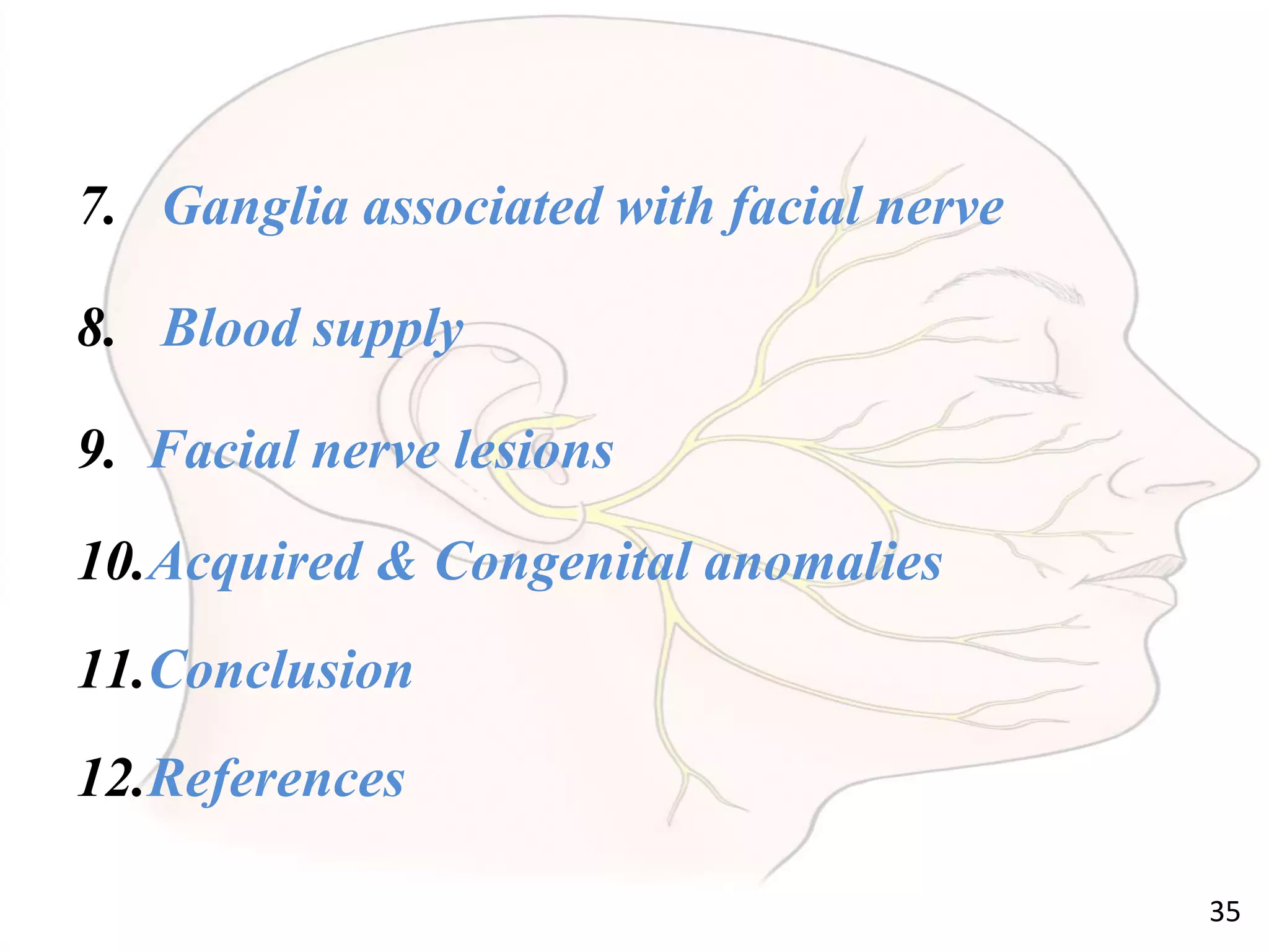 5.osteology of maxilla and mandible, facial nerve | PPTX | Ear, Nose and Throat Conditions ...