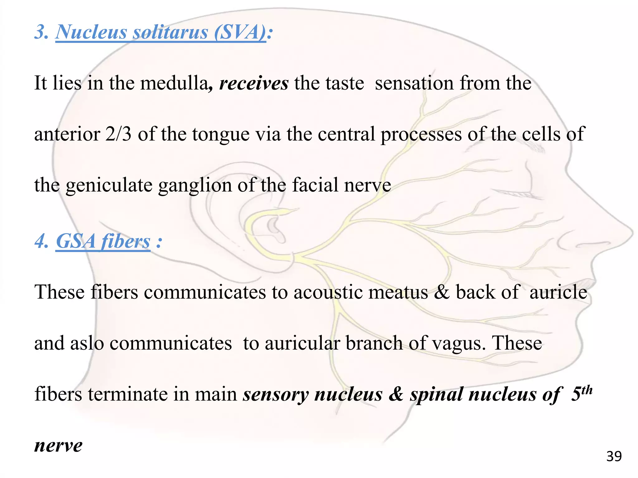 5.osteology of maxilla and mandible, facial nerve | PPTX | Ear, Nose and Throat Conditions ...