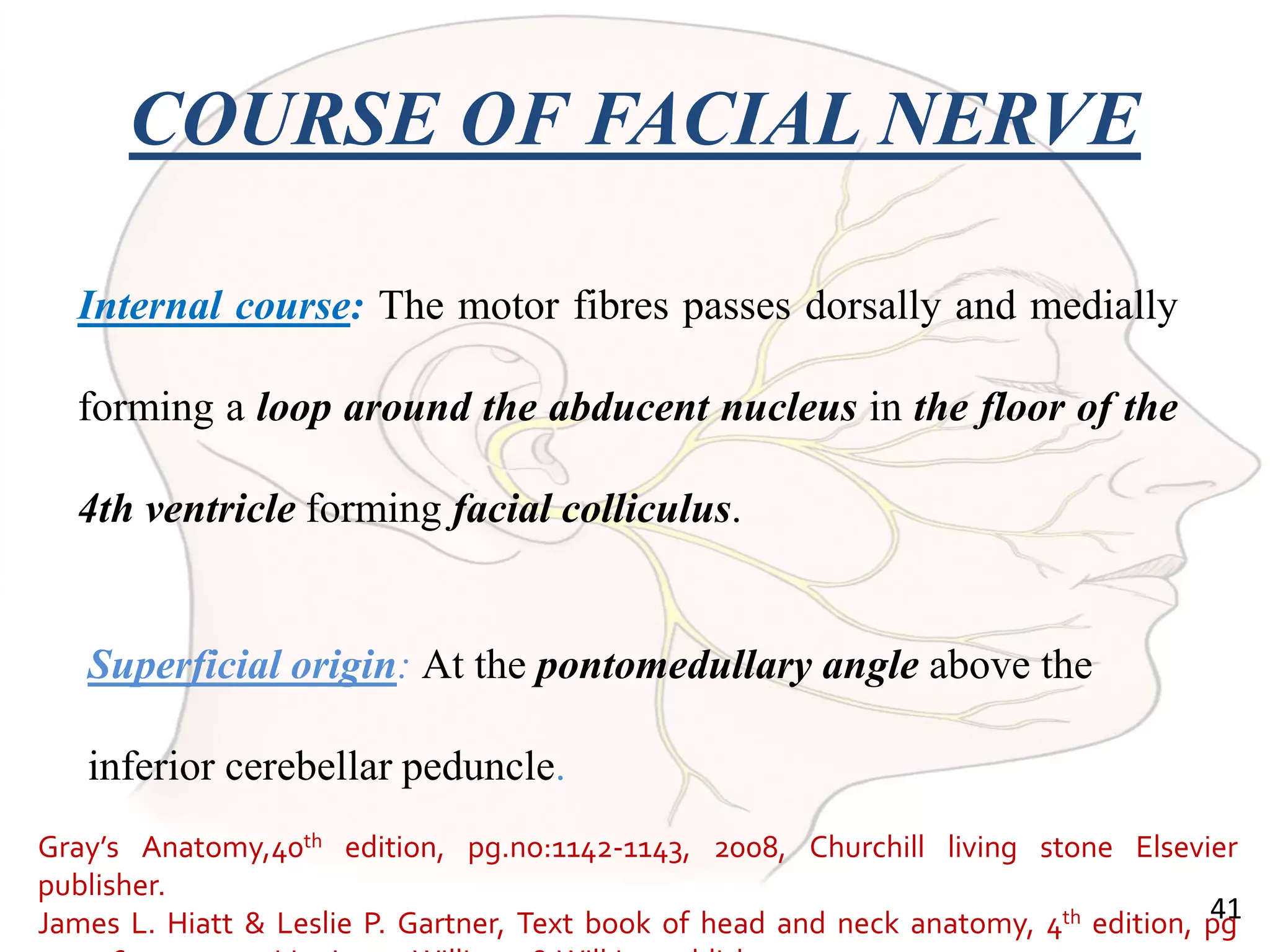 5.osteology of maxilla and mandible, facial nerve | PPTX | Ear, Nose and Throat Conditions ...