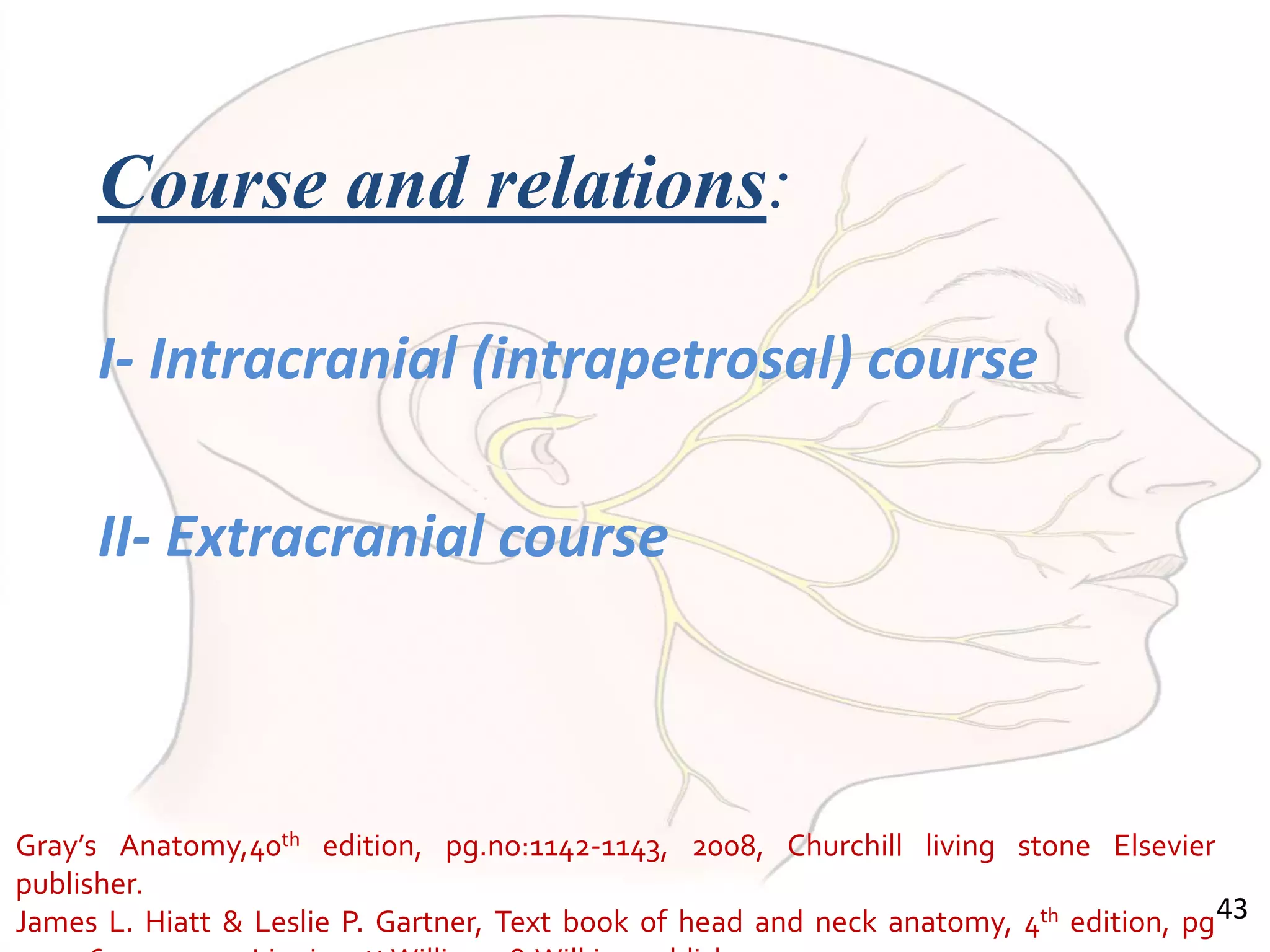5.osteology of maxilla and mandible, facial nerve | PPTX | Ear, Nose and Throat Conditions ...