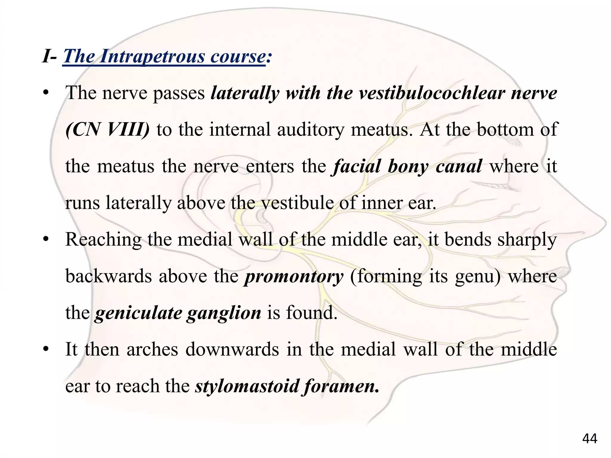 5.osteology of maxilla and mandible, facial nerve | PPTX