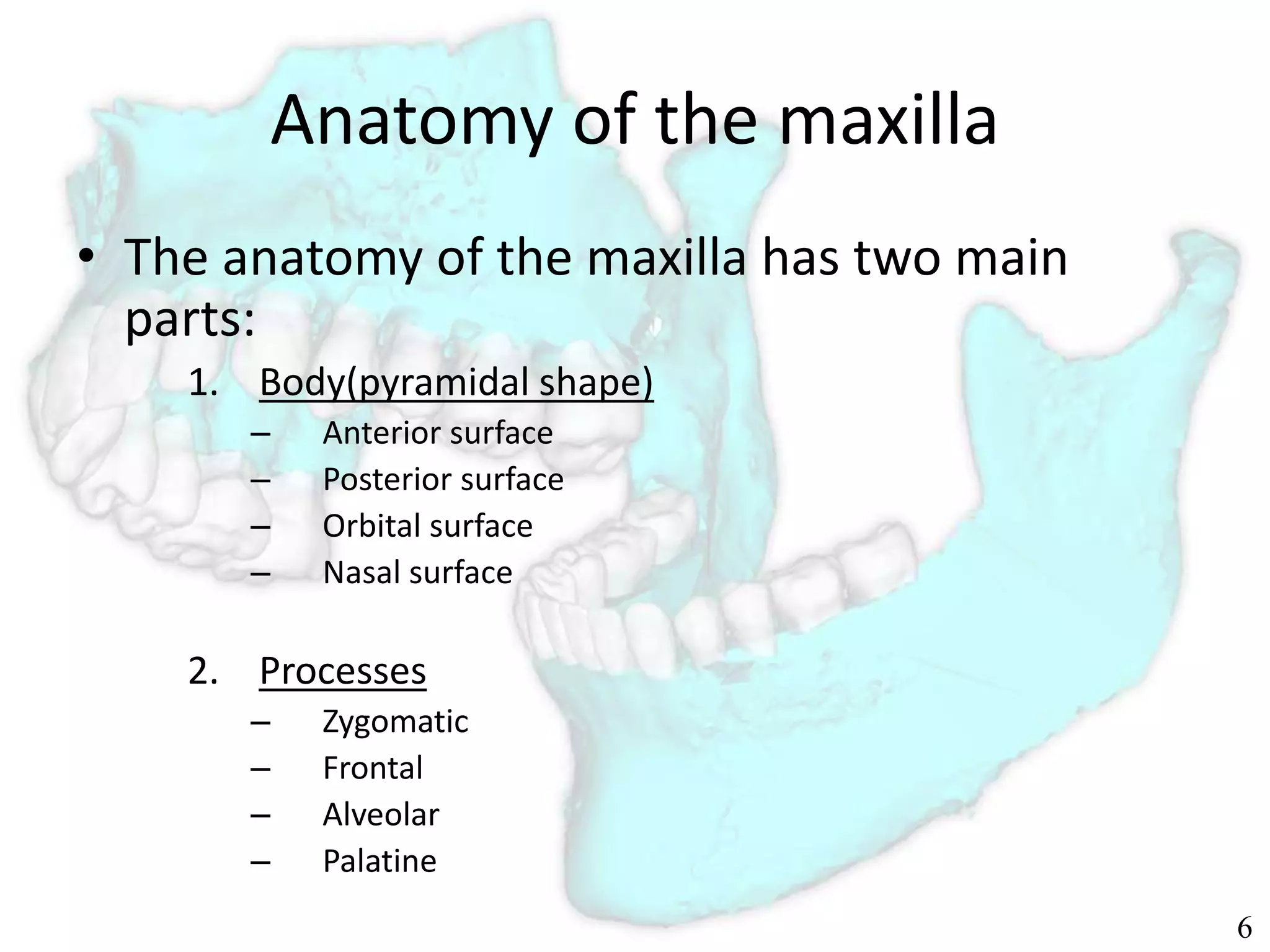 5.osteology of maxilla and mandible, facial nerve | PPTX