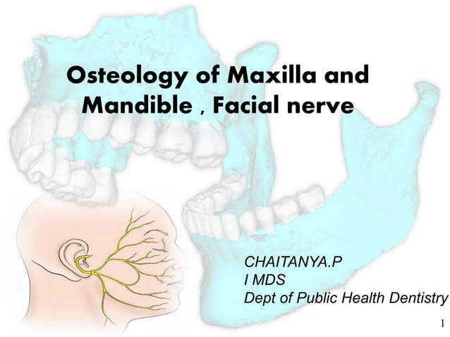 5.osteology of maxilla and mandible, facial nerve | PPTX | Ear, Nose and Throat Conditions ...