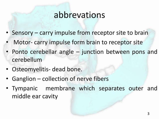 5.osteology of maxilla and mandible, facial nerve | PPTX | Ear, Nose ...