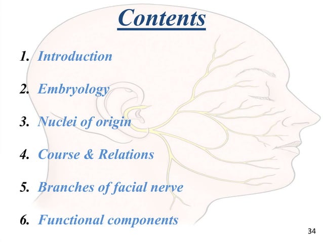 5.osteology of maxilla and mandible, facial nerve | PPTX | Ear, Nose and Throat Conditions ...