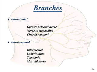 5.osteology of maxilla and mandible, facial nerve | PPTX