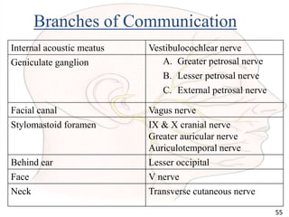 5.osteology of maxilla and mandible, facial nerve | PPTX
