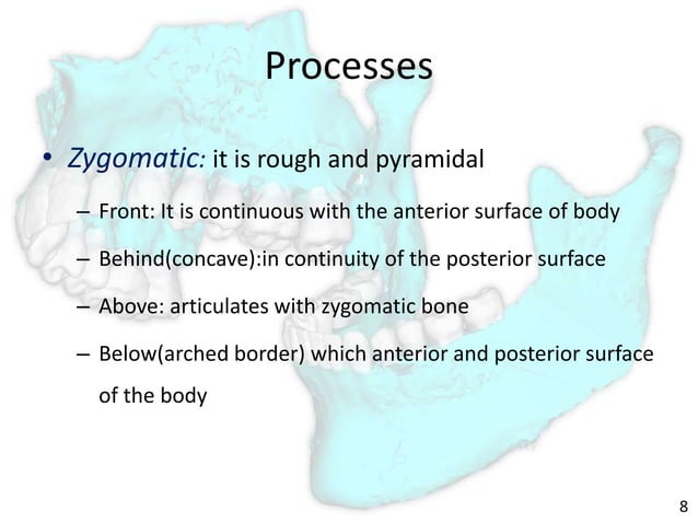 5.osteology of maxilla and mandible, facial nerve | PPTX | Ear, Nose ...